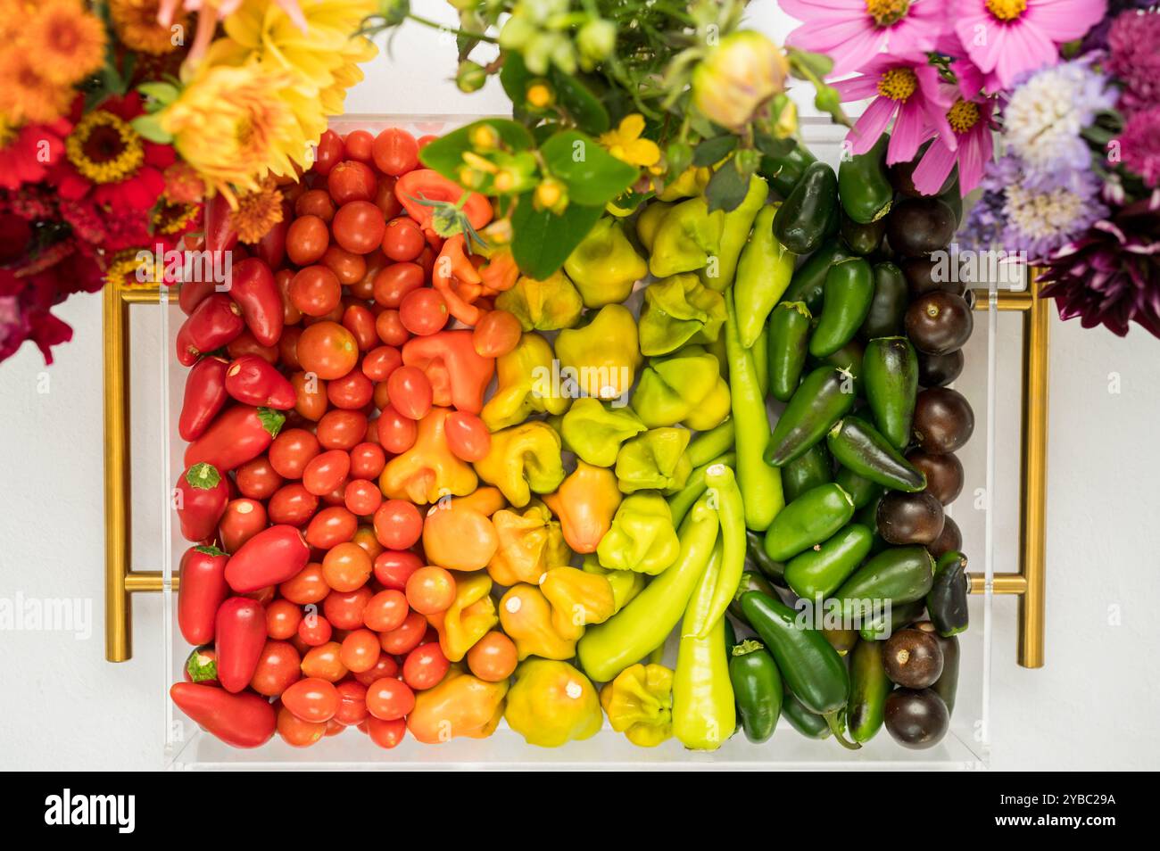 Handpicked green vegetables hi-res stock photography and images - Alamy
