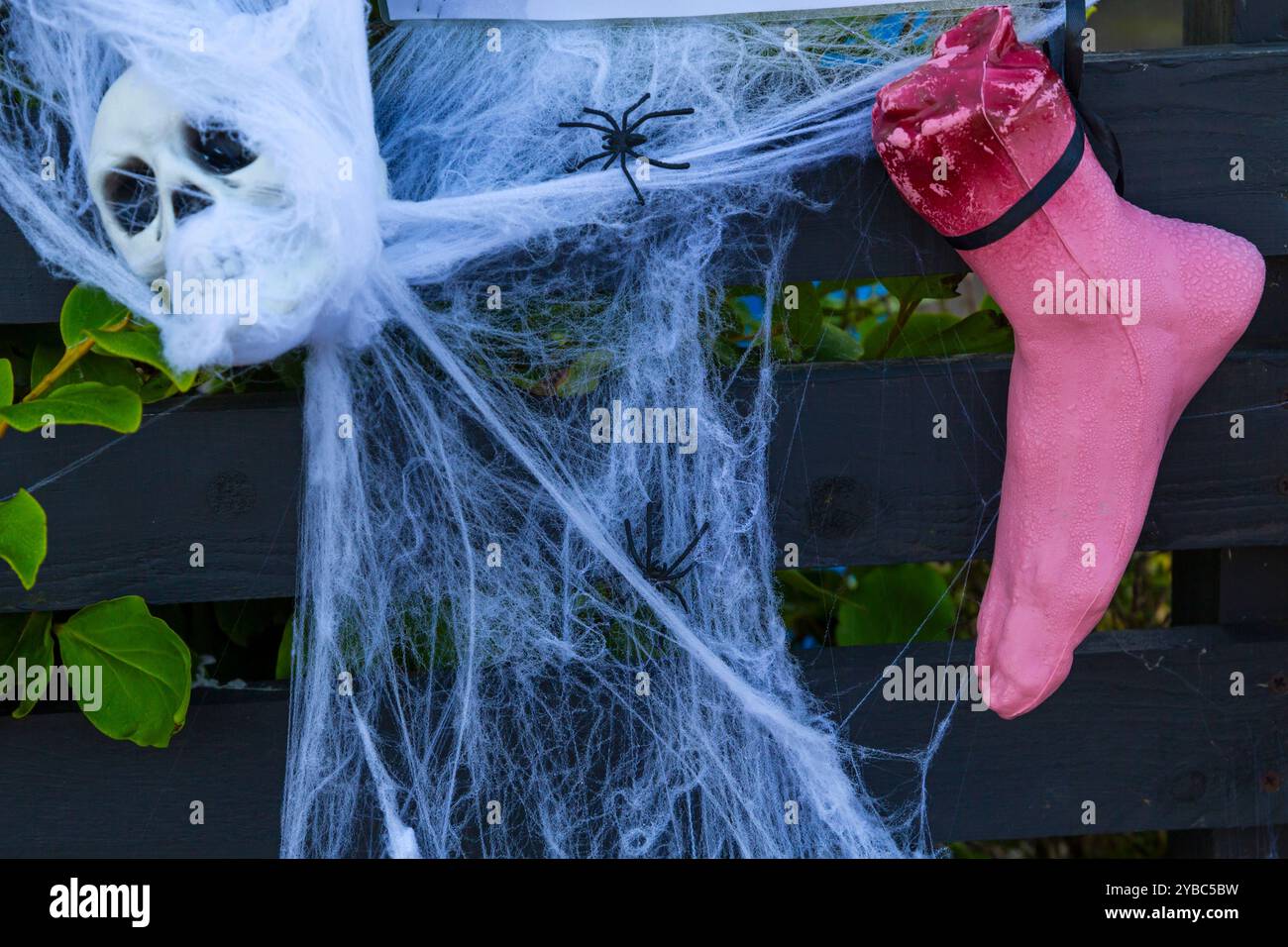 Foot feet skull skulls hi-res stock photography and images - Alamy