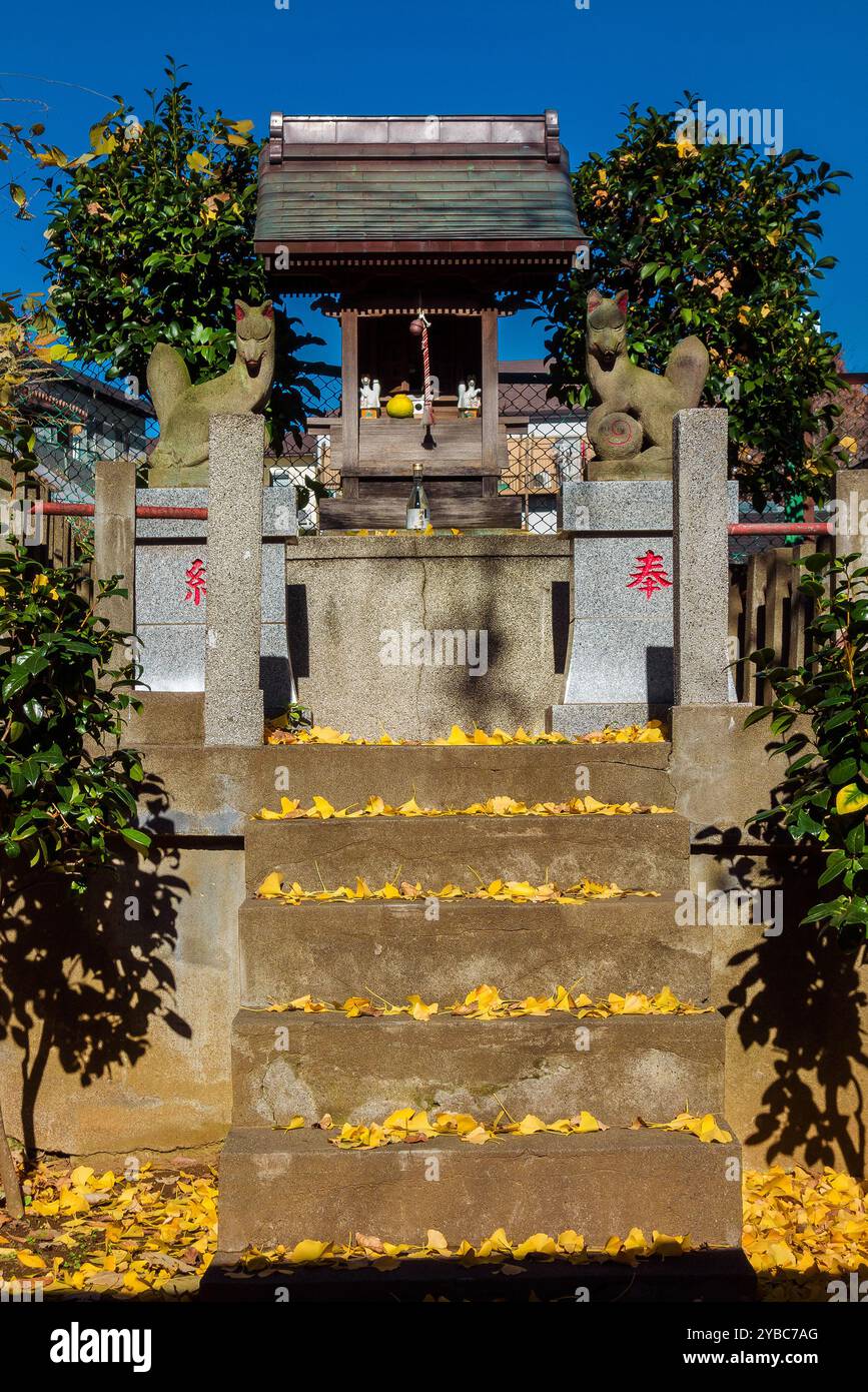 Autumn in Tokyo. Dakiamatensha small Shinto altar with Inari foxes and ...