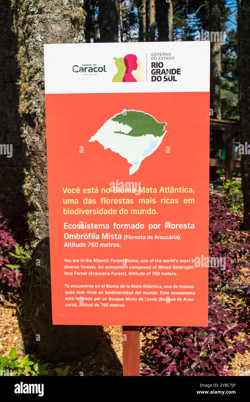 Canela, Brazil - October 15th 2024: Information sign about the Atlantic ...