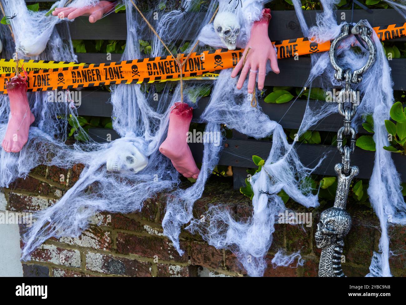 Hand hands foot feet fingers finger bony bones skull skulls hi-res ...