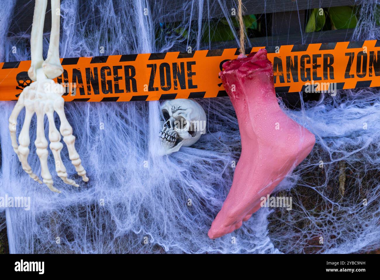 Hand hands foot feet fingers finger bony bones skull skulls hi-res ...