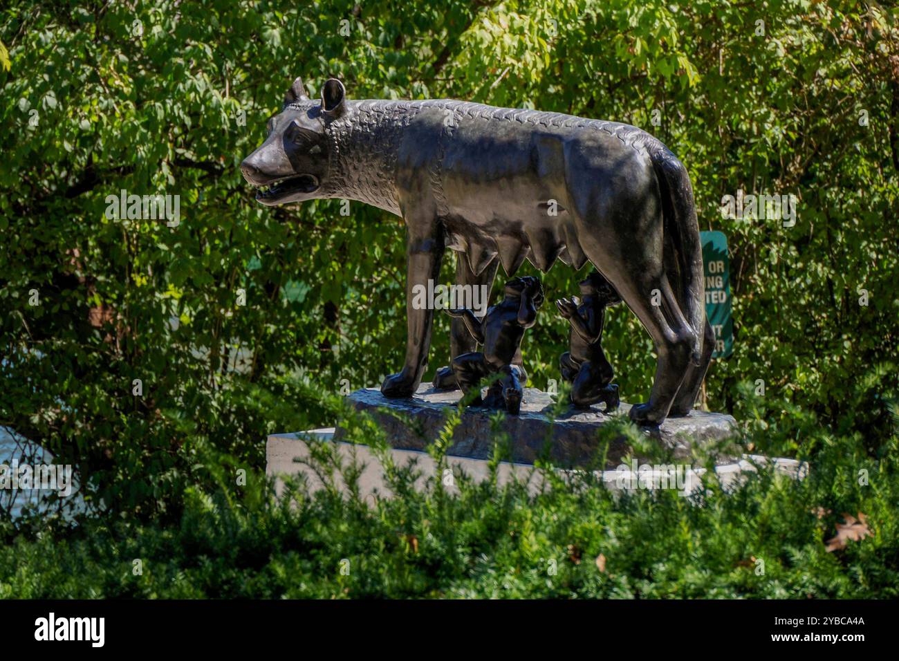 The Cincinnati wolf statue was gifted by the people of Rome, Italy, to ...