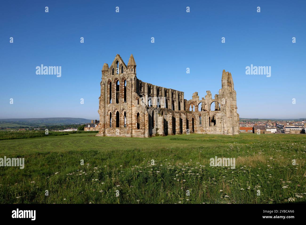 Whitby Abbey, in early morning sunrise light and blue sky, Whitby ...