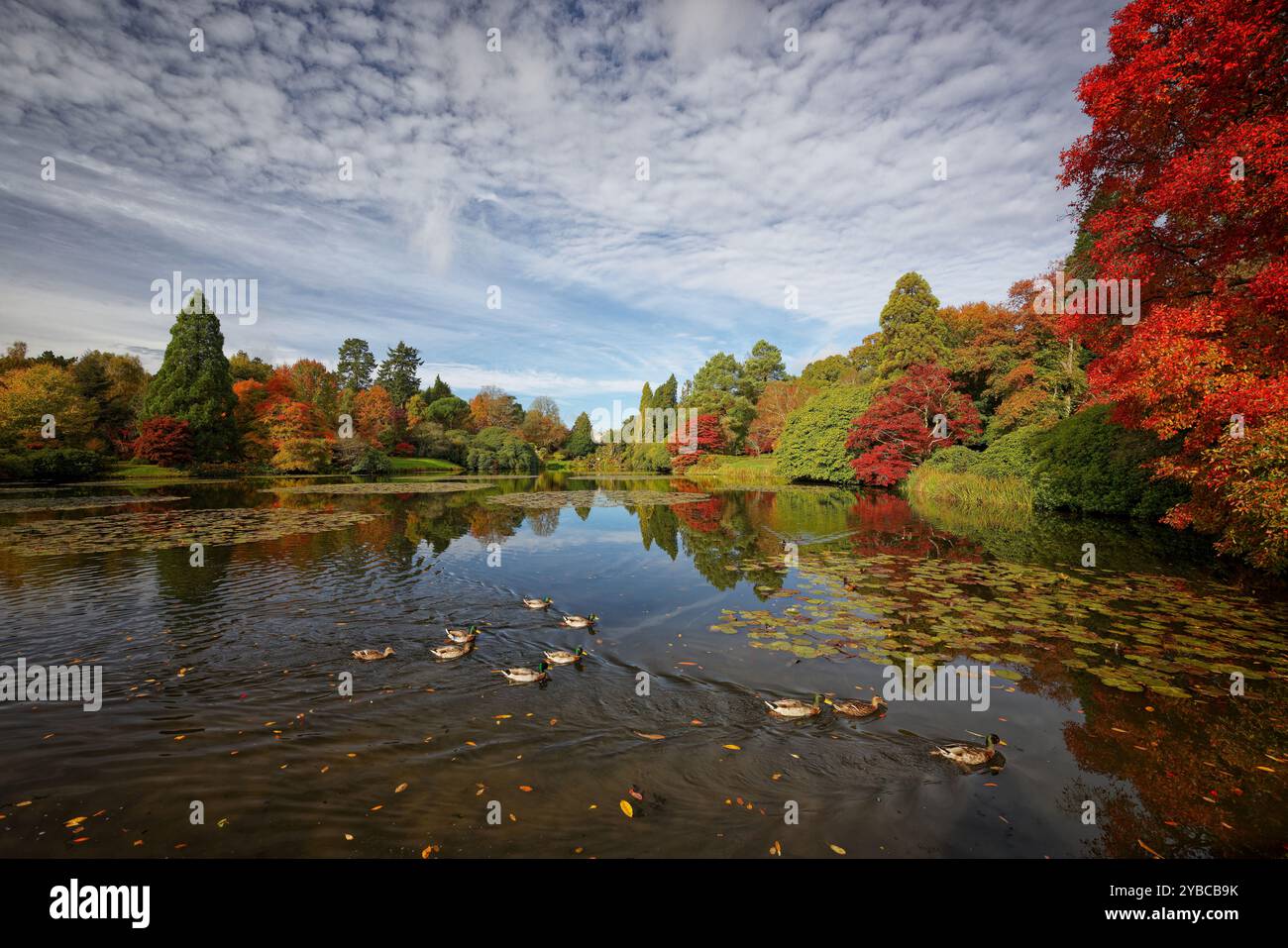 Autumn in England UK Stock Photo - Alamy