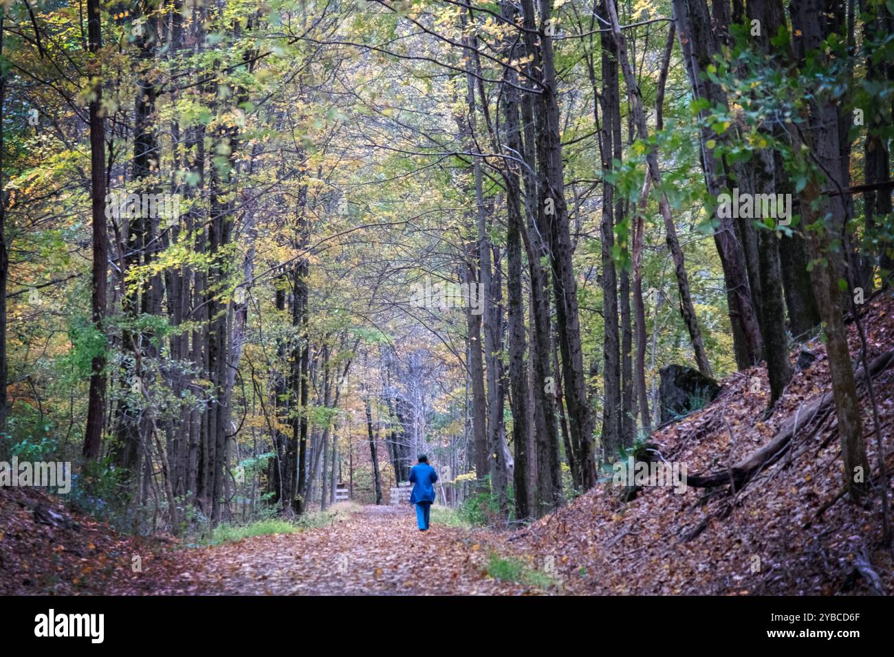 A woman walks down the Wallkill Valley Rail Trail in Rosendale, New ...
