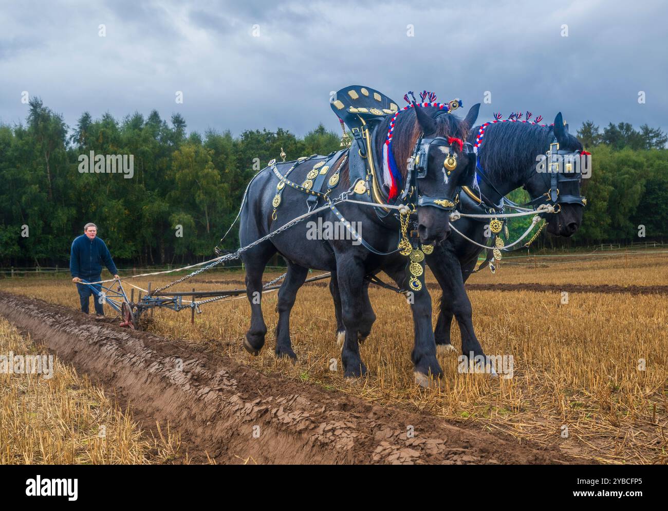 Perlethorpe, Nottinghamshire, The British National Ploughing ...