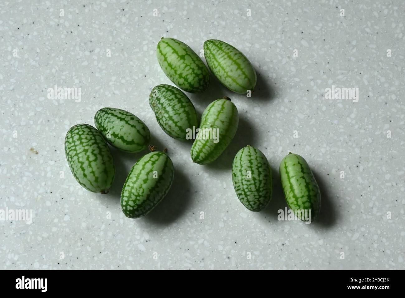 Whole small green striped fruits of Cucamelon, Melothria scabra Stock ...