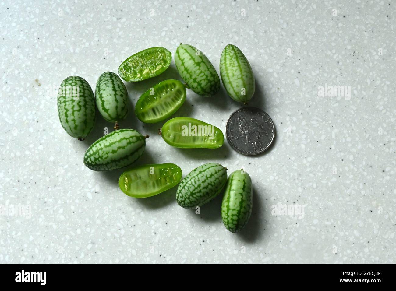 Whole and cut open small green striped fruits of Cucamelon, mouse melon ...