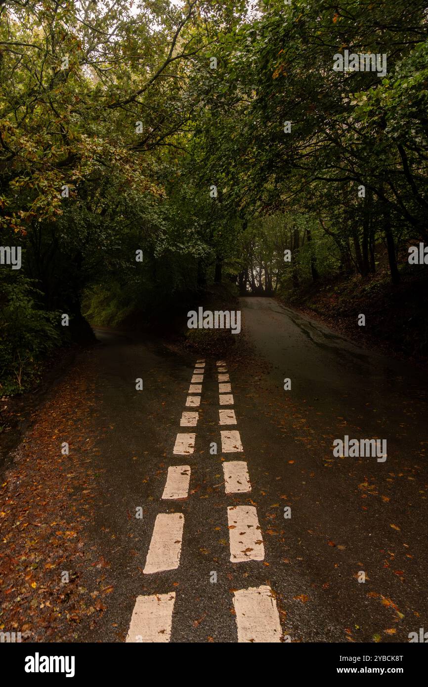 Path splitting in two directions hi-res stock photography and images ...