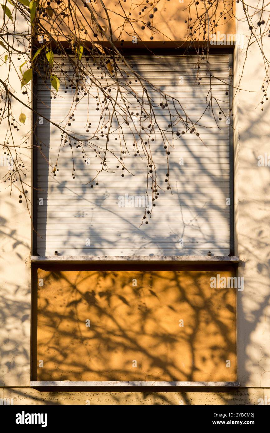 Modena highlights hi-res stock photography and images - Alamy