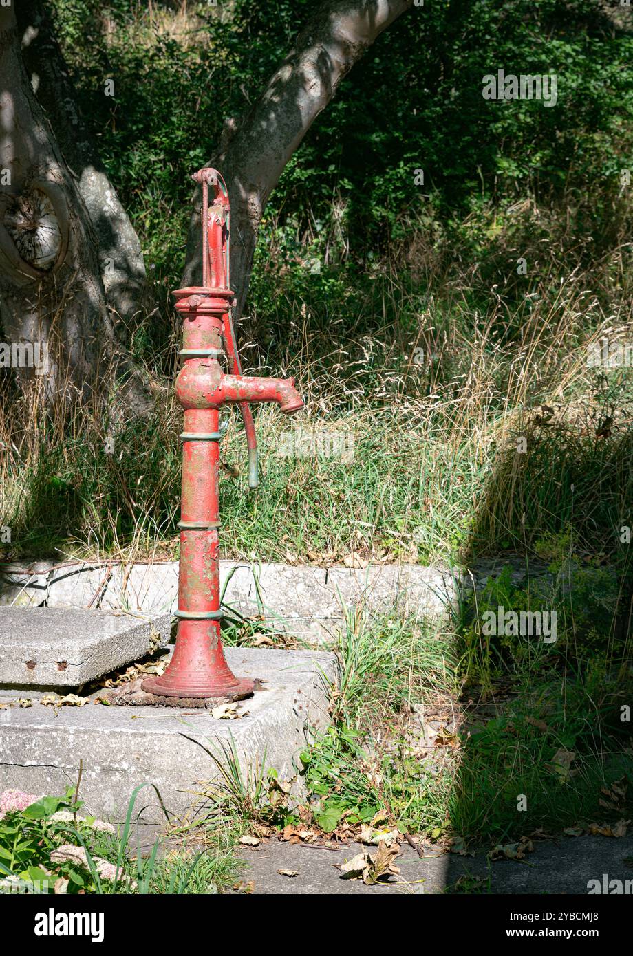 Vintage Red Water Pump in a Rustic Outdoor Setting Stock Photo - Alamy