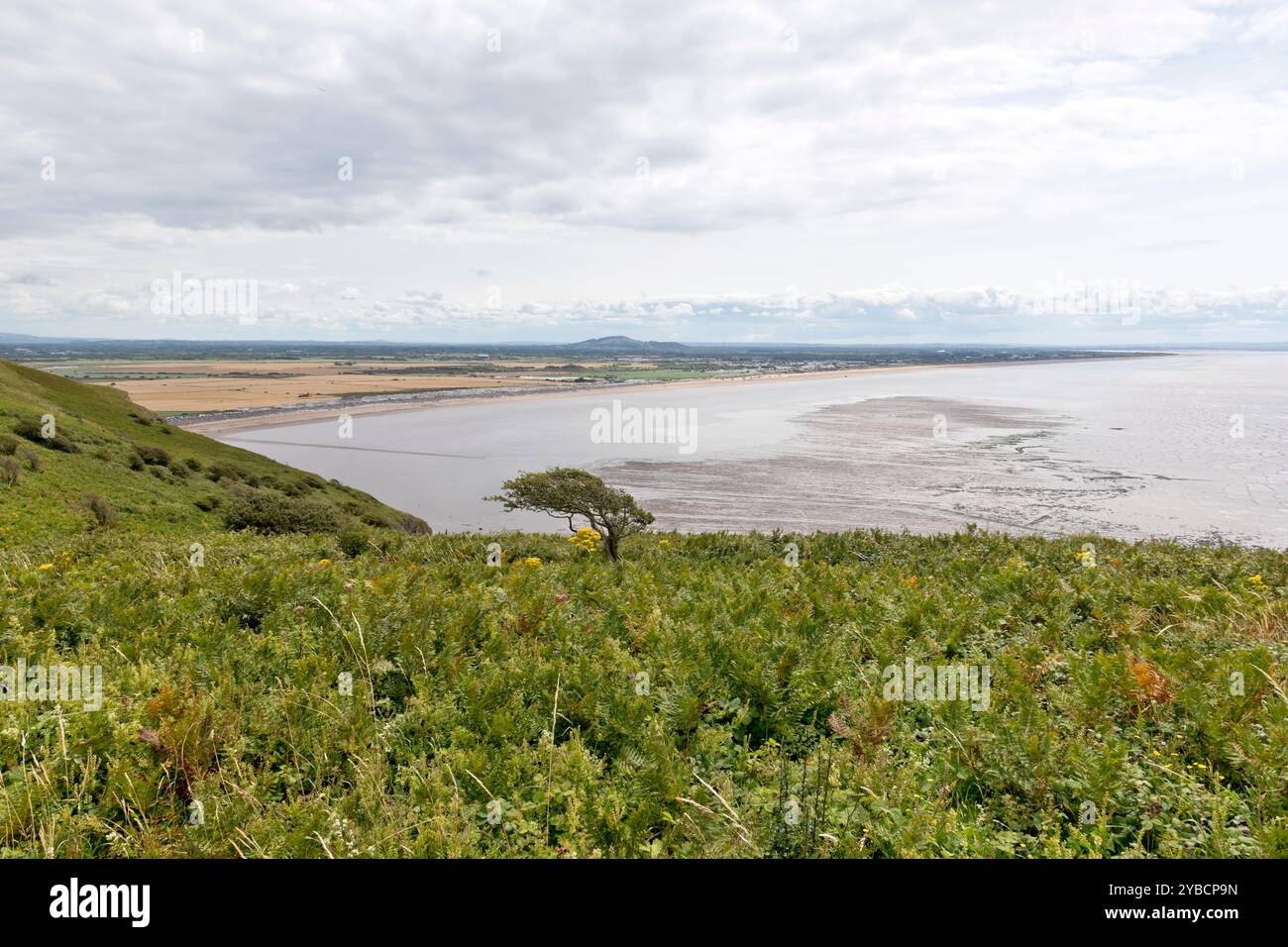 Brean Beach from Brean Down, North Somerset, England Stock Photo - Alamy