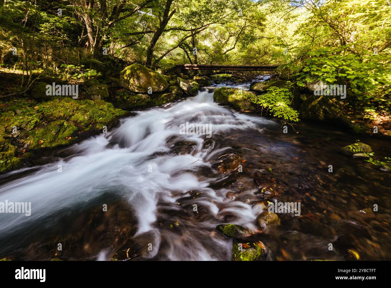 Tateshina Otaki Falls in Japan Stock Photo - Alamy