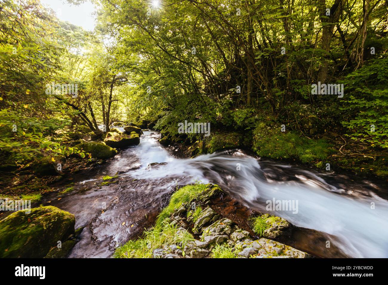 Tateshina Otaki Falls in Japan Stock Photo - Alamy
