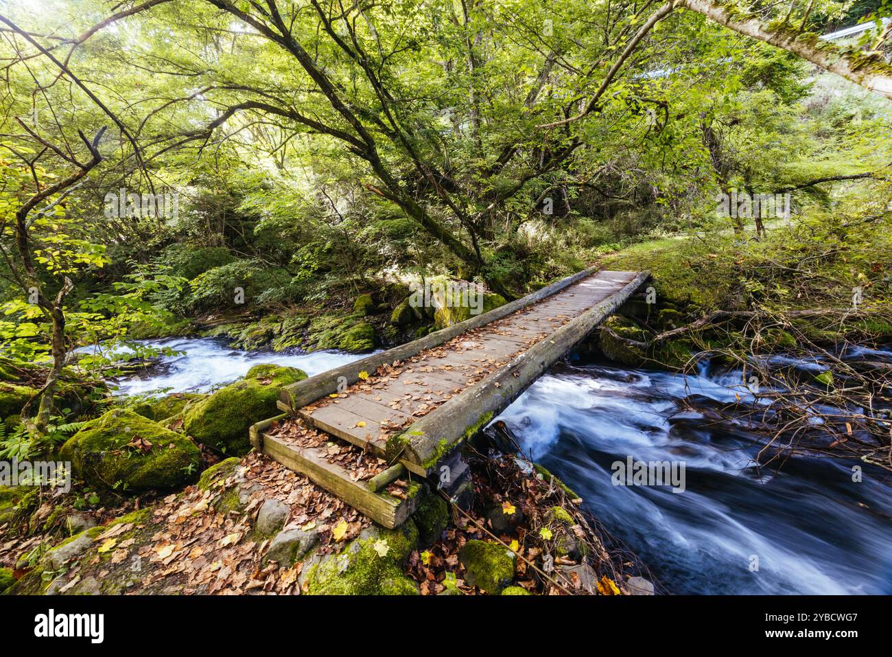 Tateshina Otaki Falls in Japan Stock Photo - Alamy