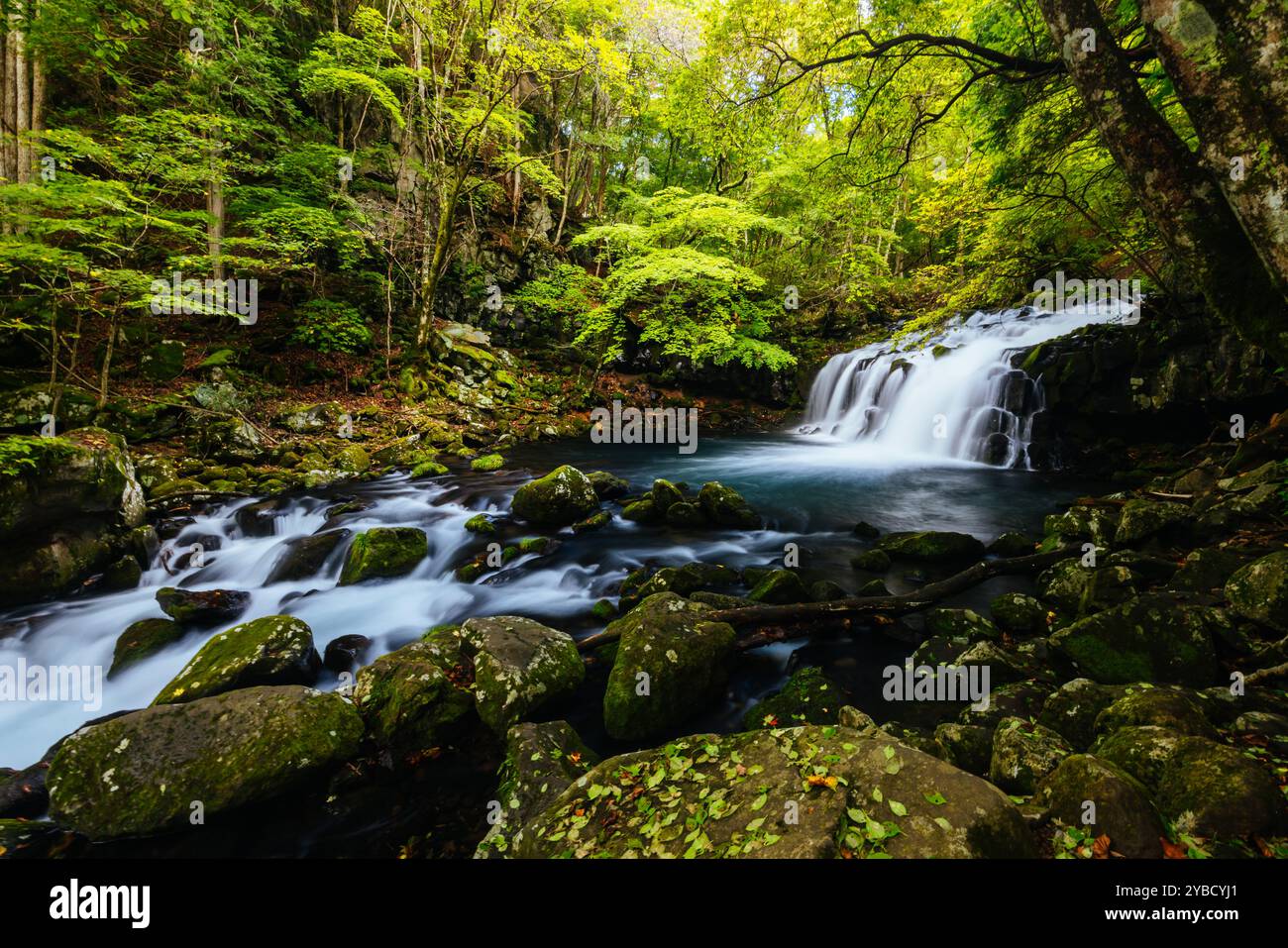 Tateshina Otaki Falls in Japan Stock Photo - Alamy