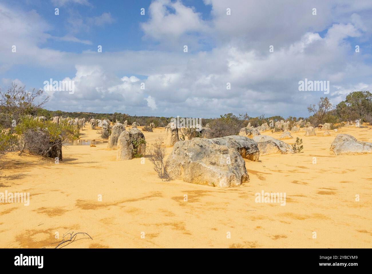 The Pinnacles Desert Park in Nambung National Park, Western Australia ...