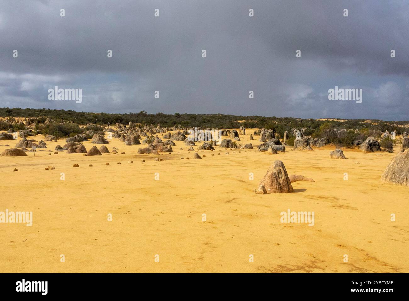 The Pinnacles Desert Park in Nambung National Park, Western Australia ...