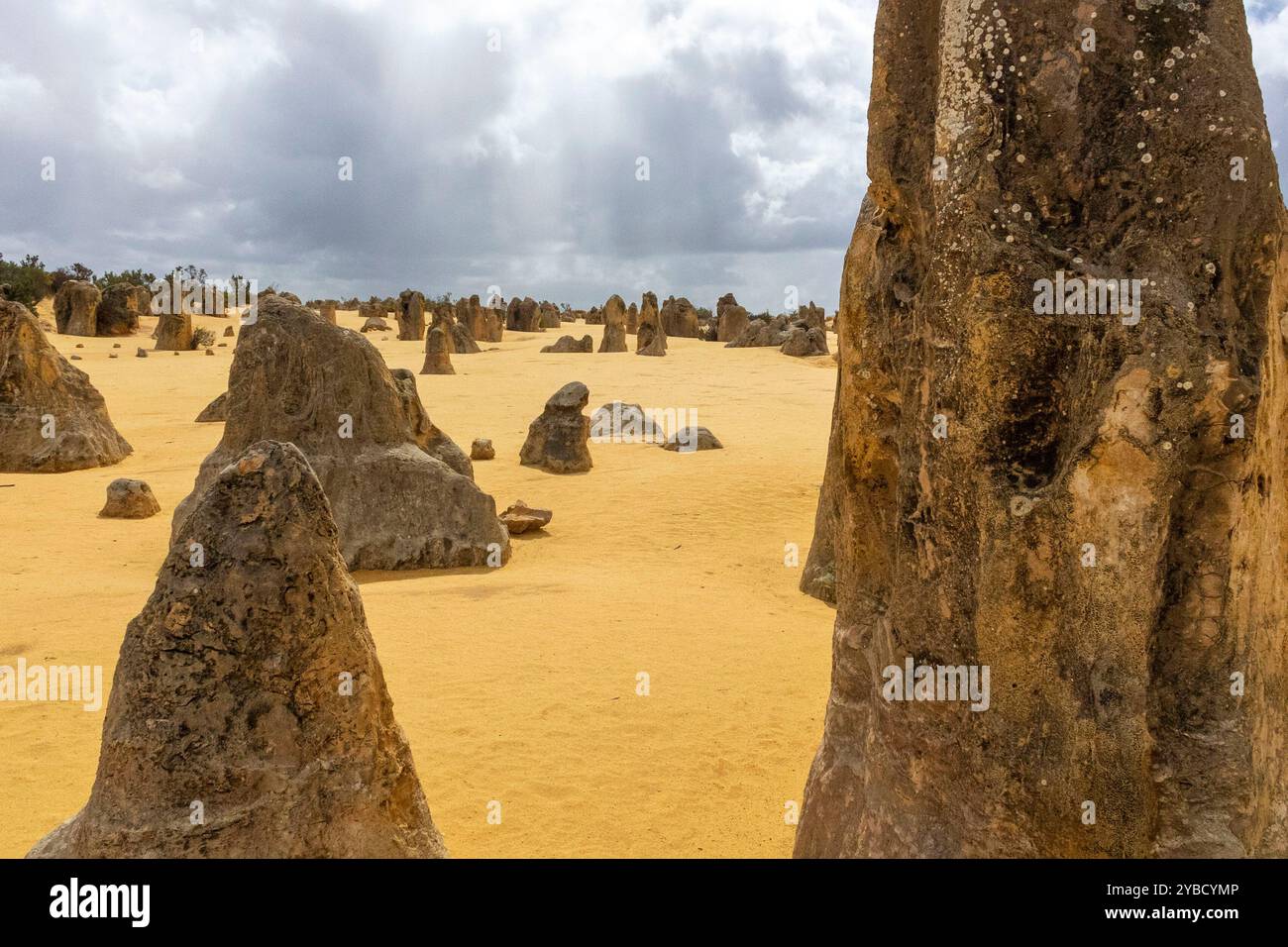 The Pinnacles Desert Park in Nambung National Park, Western Australia ...