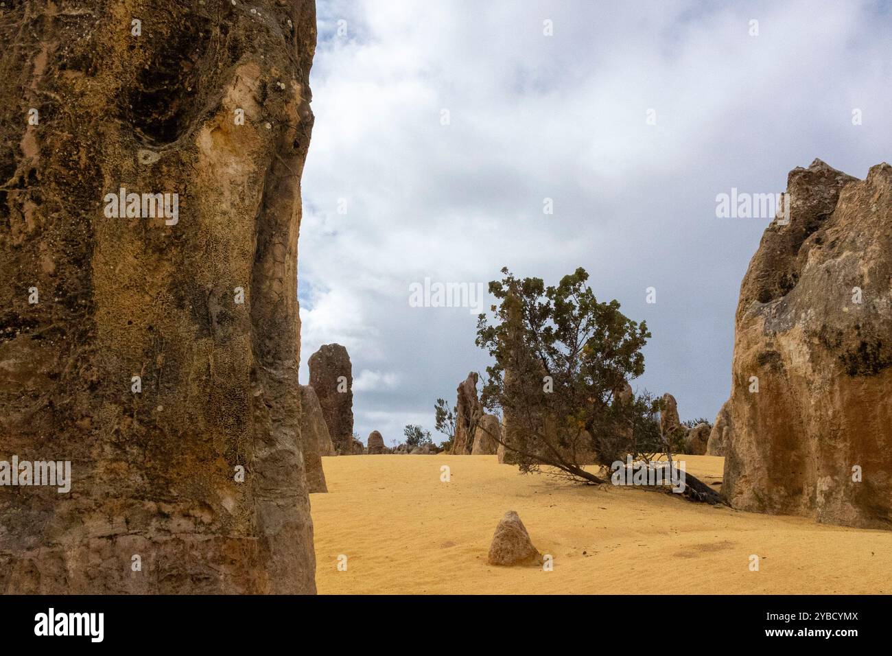 The Pinnacles Desert Park in Nambung National Park, Western Australia ...