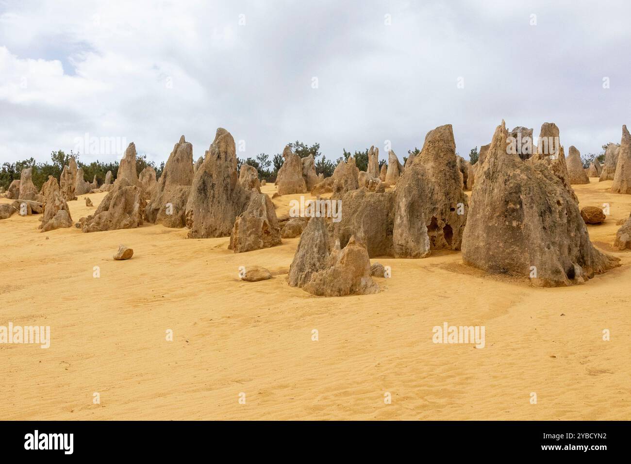 The Pinnacles Desert Park in Nambung National Park, Western Australia ...
