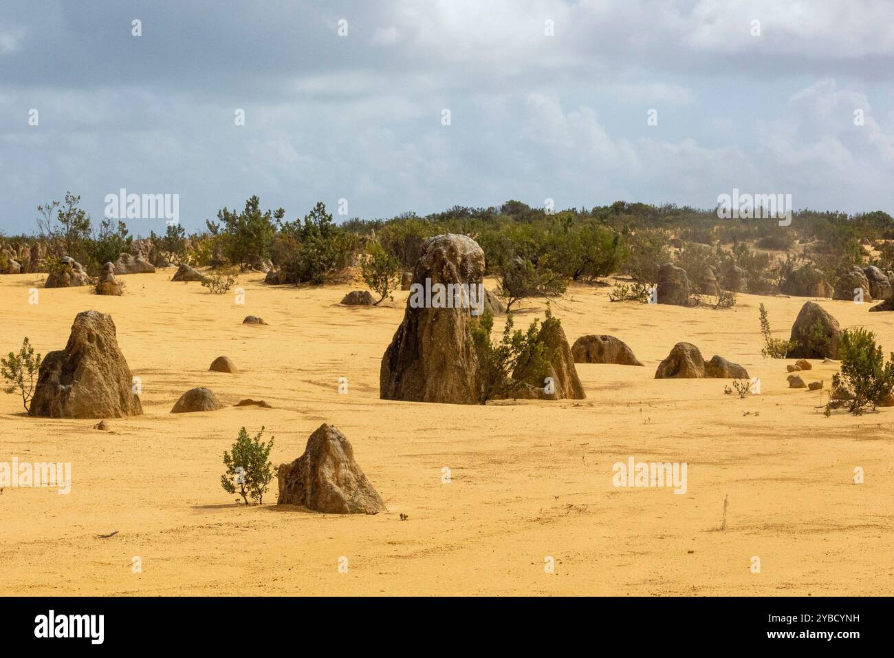 The Pinnacles Desert Park in Nambung National Park, Western Australia ...