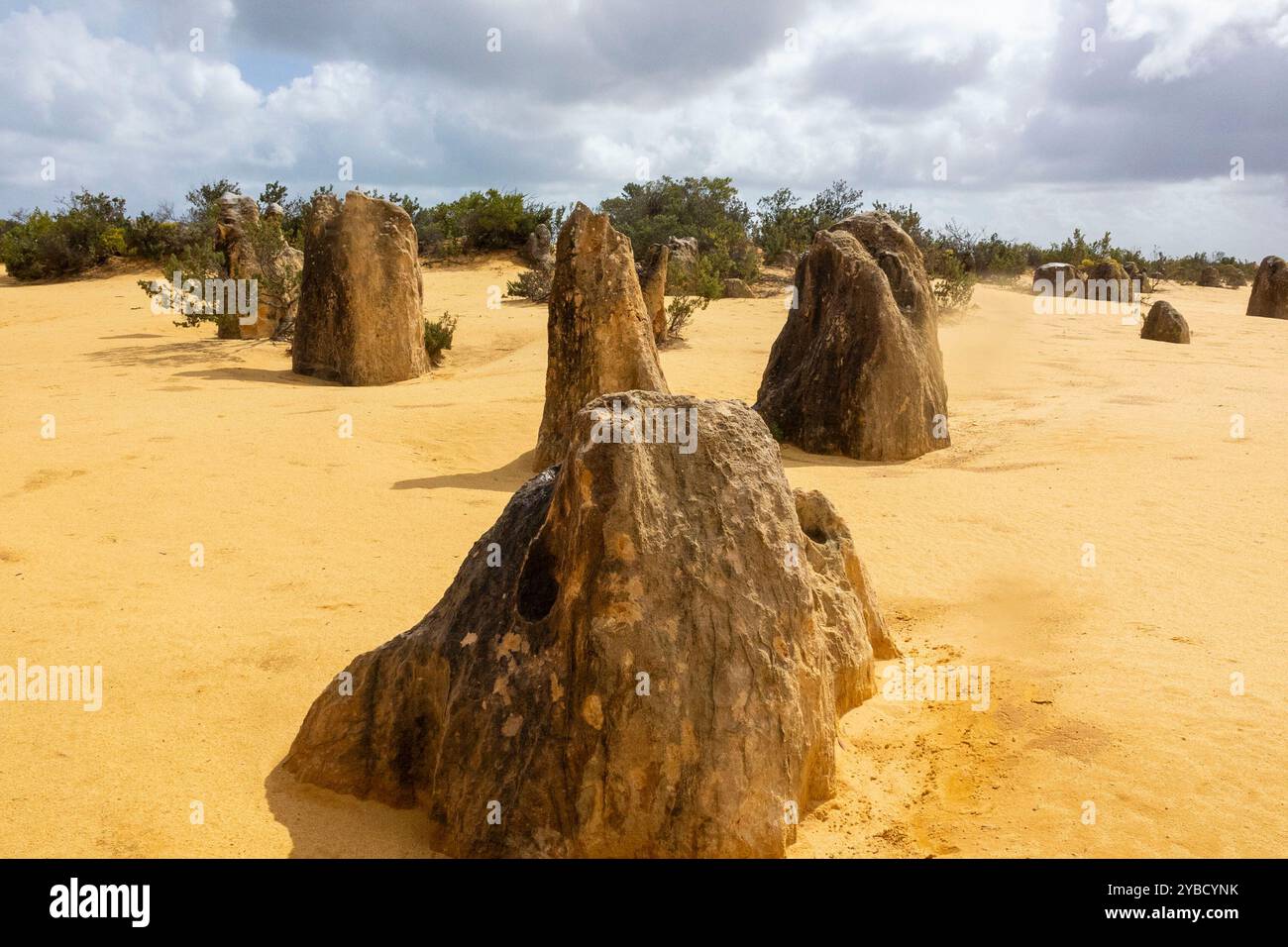 The Pinnacles Desert Park in Nambung National Park, Western Australia ...