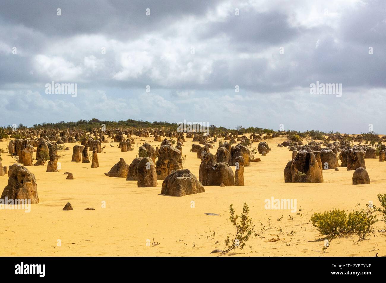The Pinnacles Desert Park in Nambung National Park, Western Australia ...