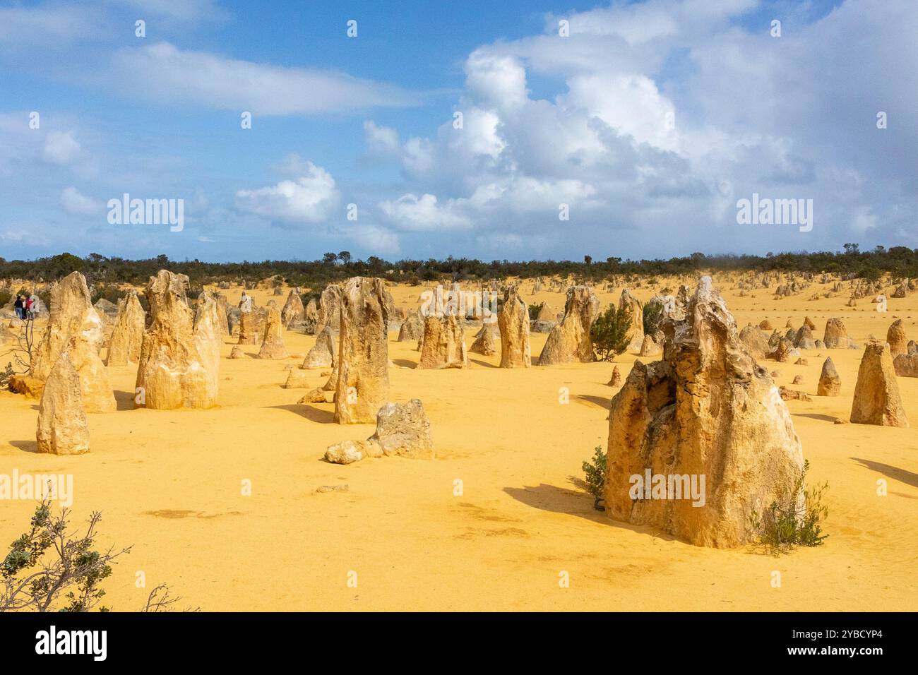 The Pinnacles Desert Park in Nambung National Park, Western Australia ...