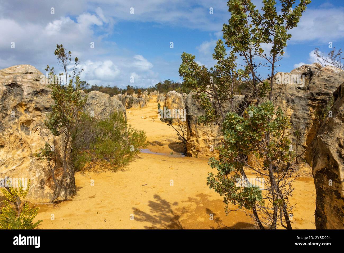 The Pinnacles Desert Park in Nambung National Park, Western Australia ...