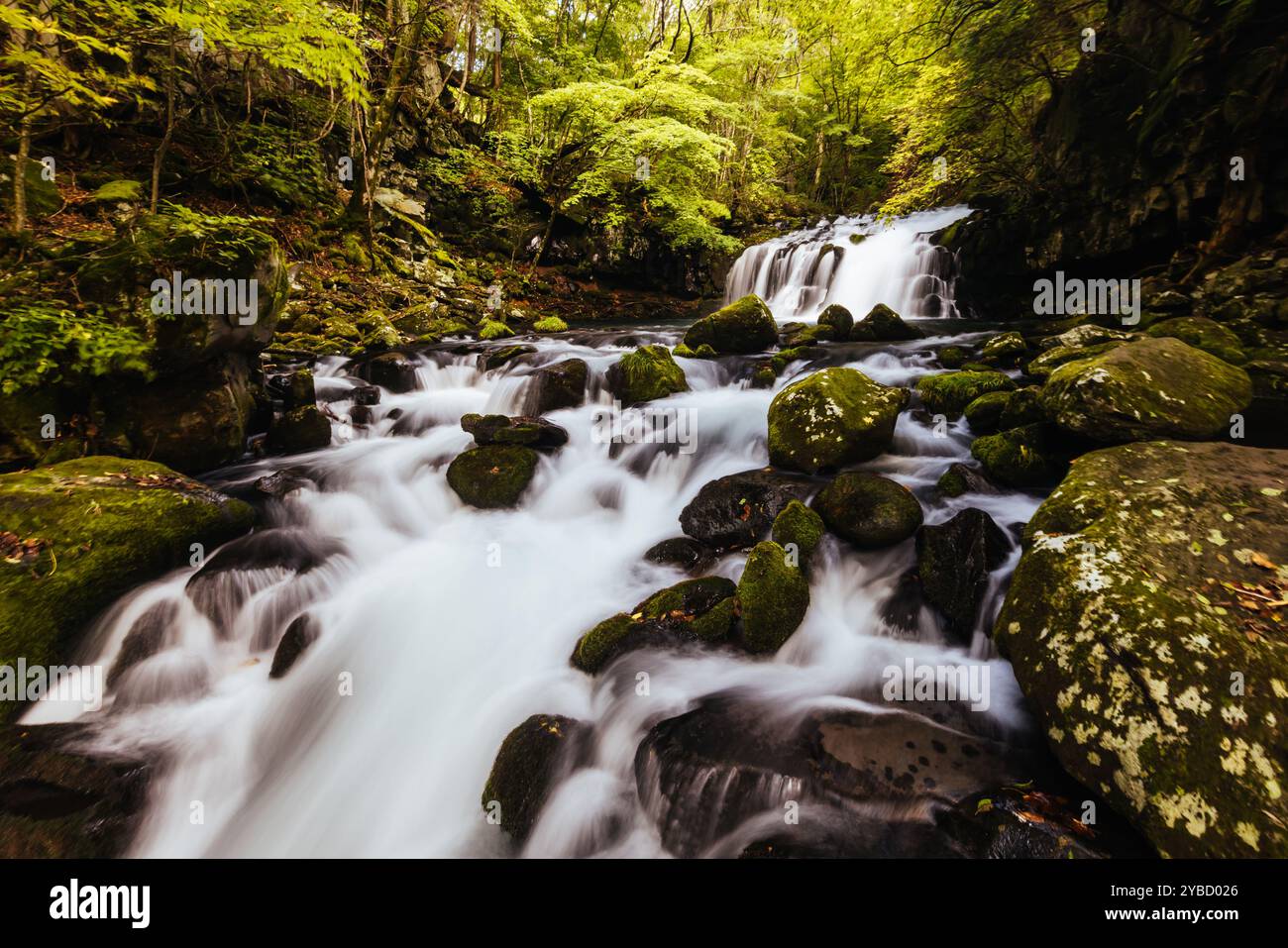 Tateshina Otaki Falls in Japan Stock Photo - Alamy