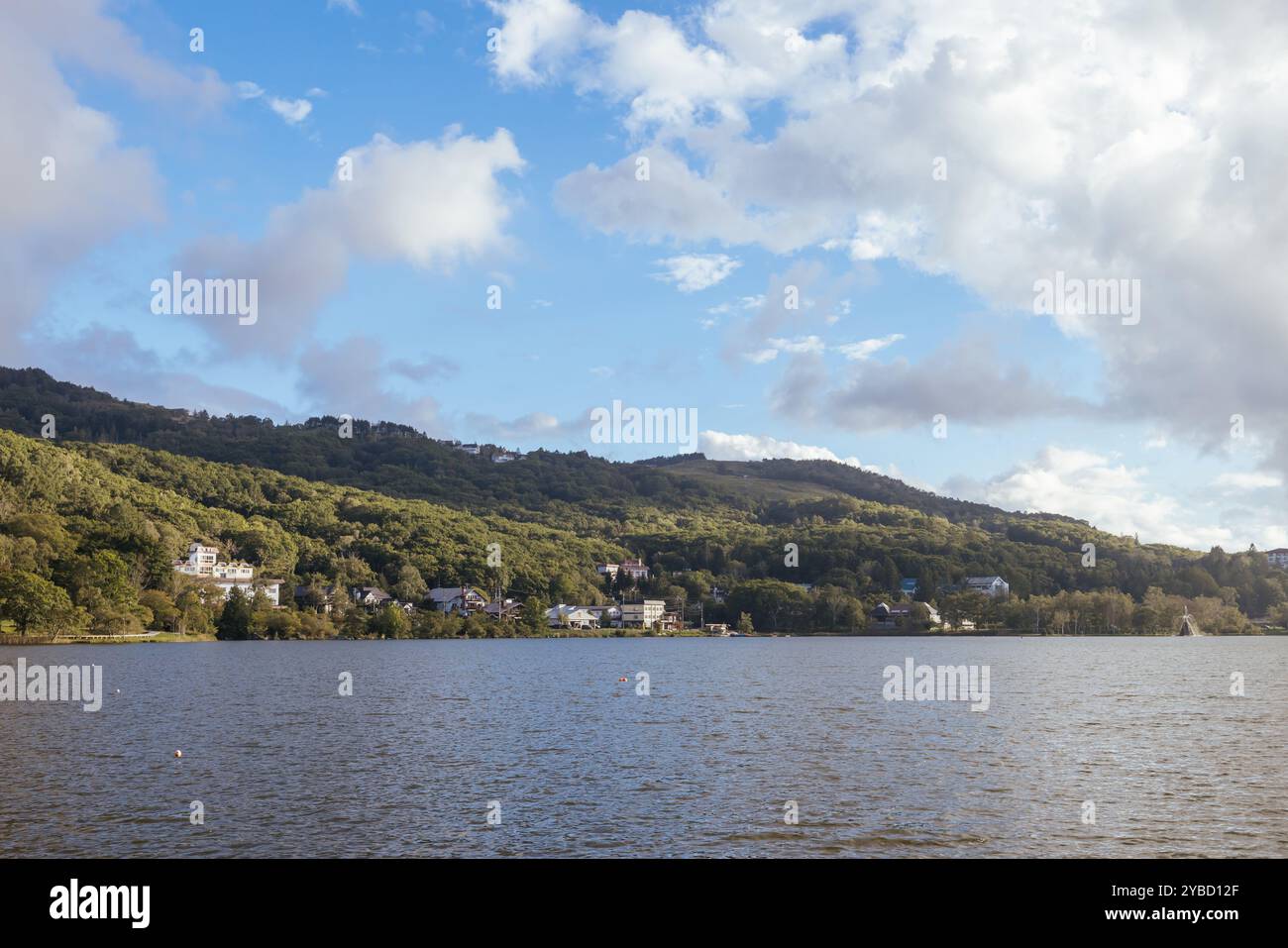 See shirakaba hi-res stock photography and images - Alamy