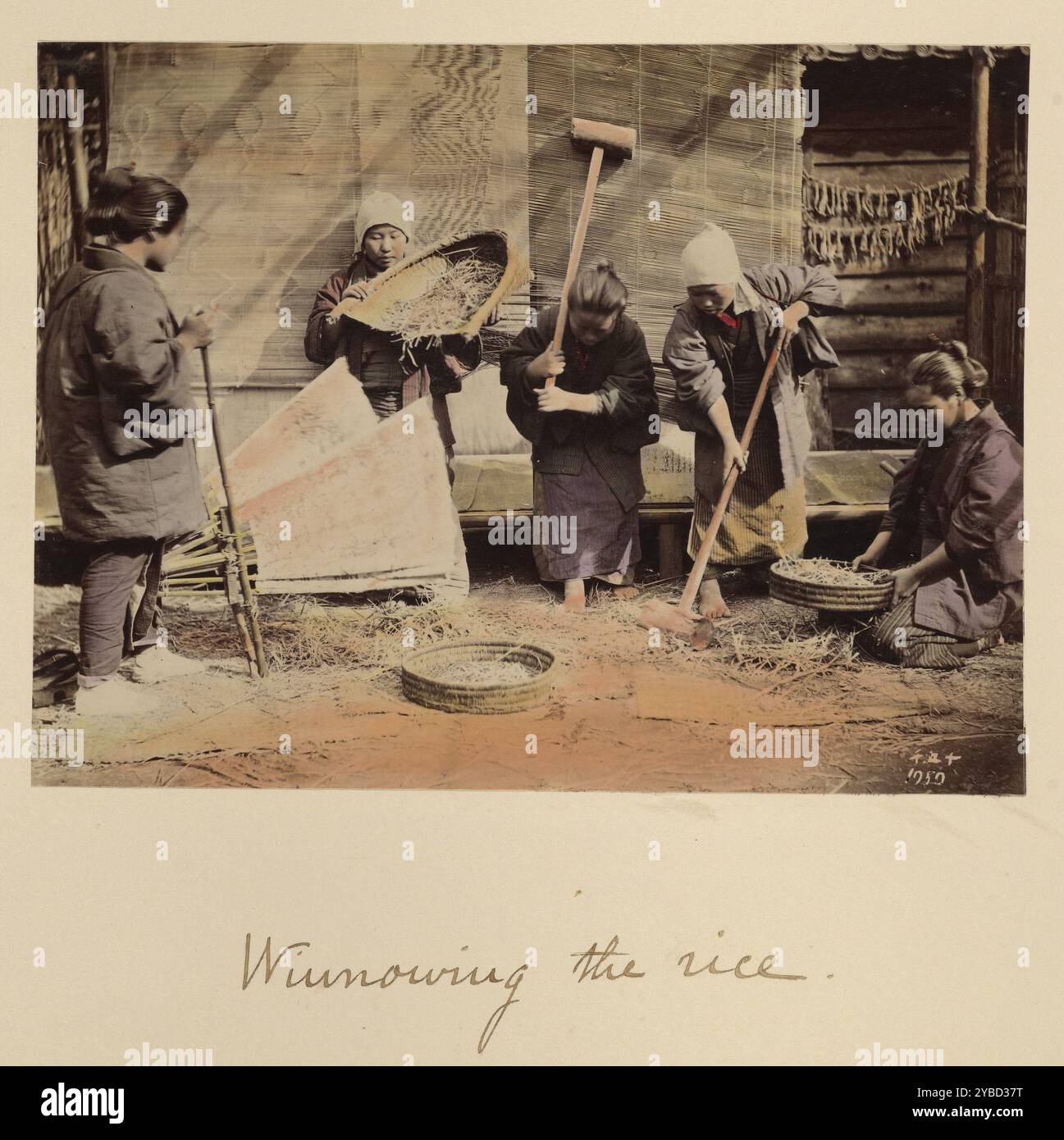 Winnowing the rice, about 1873-1883 Stock Photo - Alamy