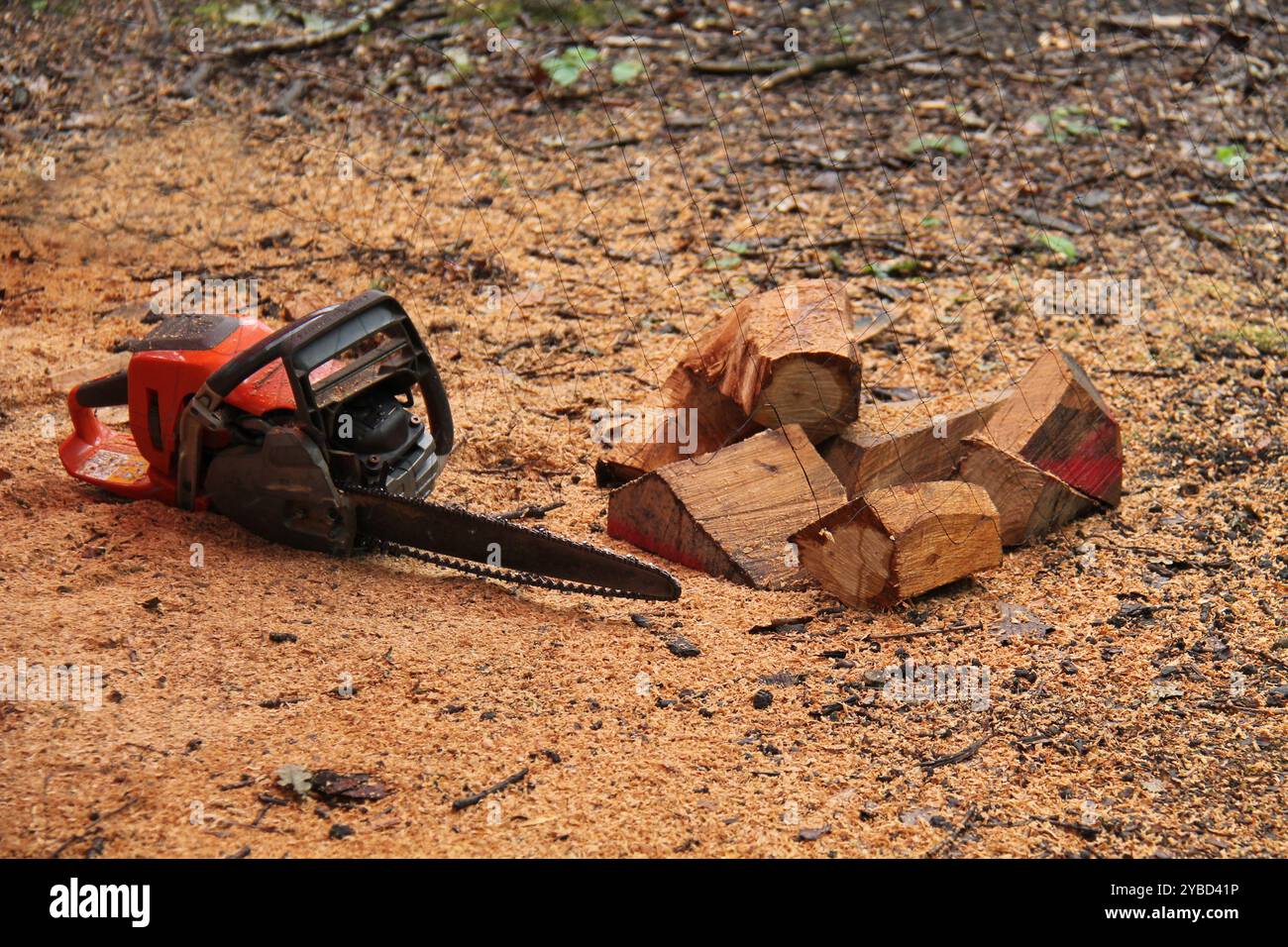 The Work Area of a Powerful Forestry Chain Saw Stock Photo - Alamy