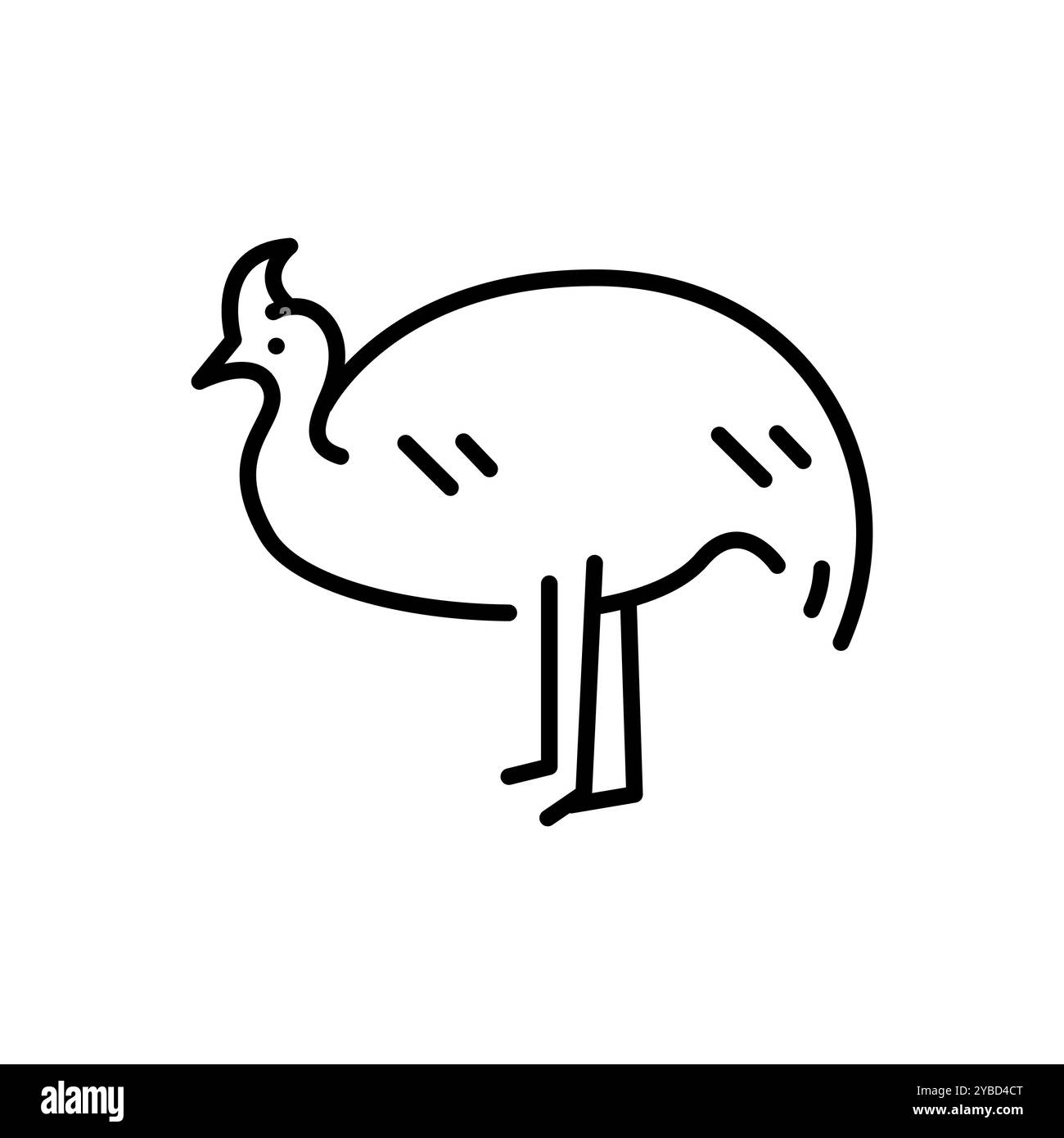 Australian cassowary black line illustration. Animals of Australia ...