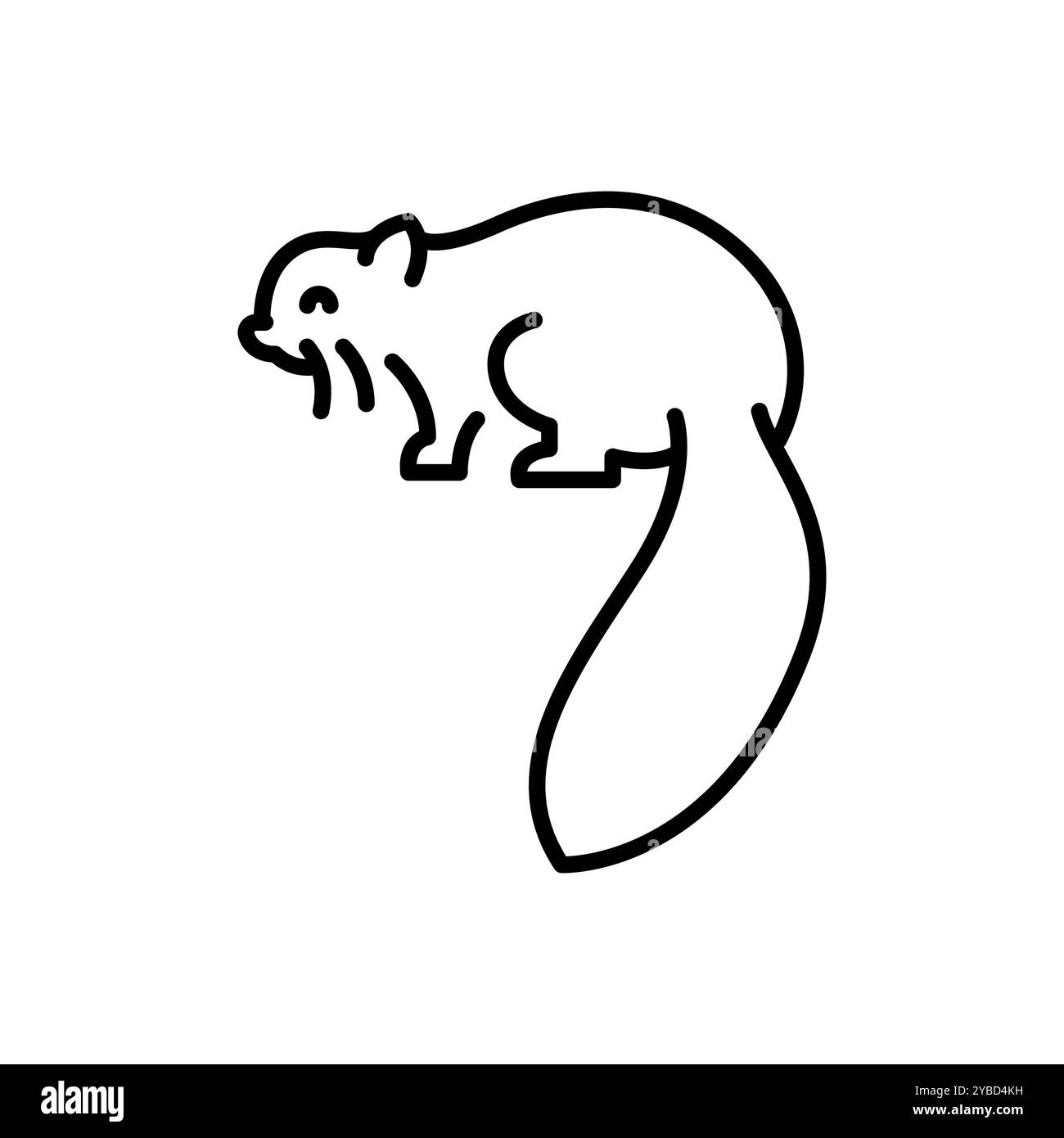Australian flying squirrel black line illustration. Animals of ...