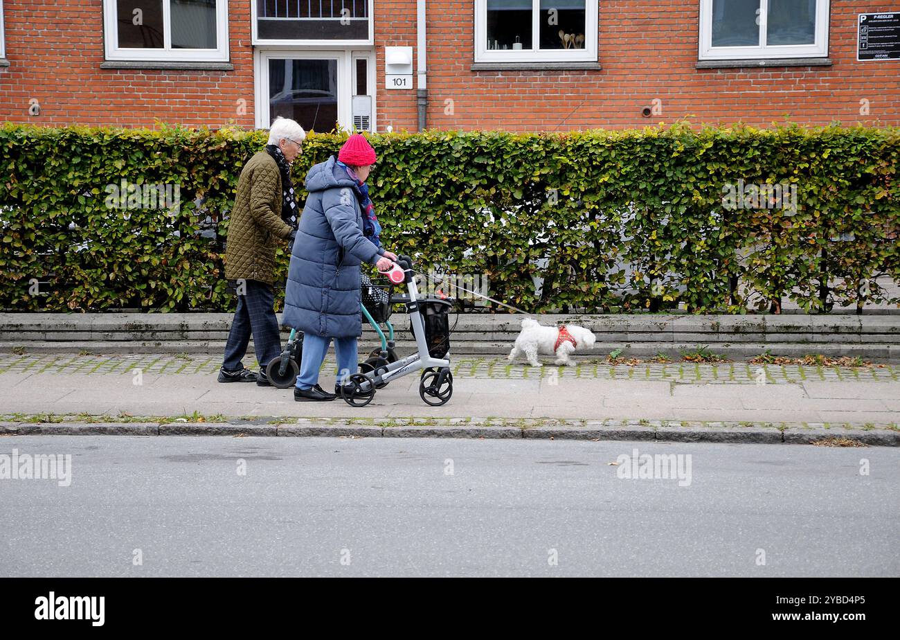 Copenhagen/ Denmark/18 October 2024/ Senior citizen walks her pets in ...