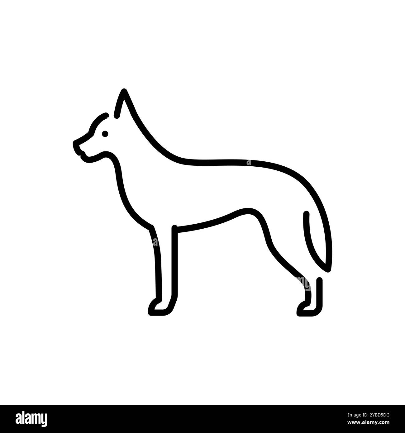 Dingo dog black line illustration. Animals of Australia. Editable ...