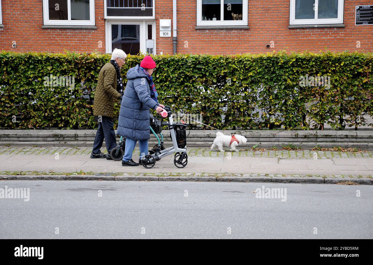 Copenhagen/ Denmark/18 October 2024/ Senior citizen walks her pets in ...
