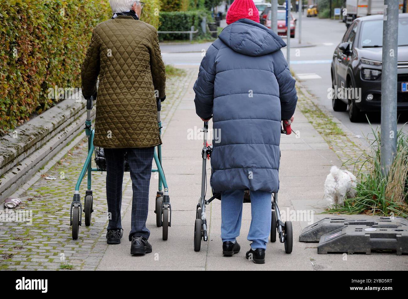 Copenhagen/ Denmark/18 October 2024/ Senior citizen walks her pets in ...