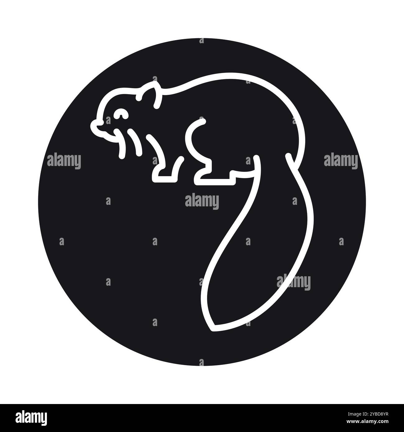 Australian flying squirrel black line illustration. Animals of ...