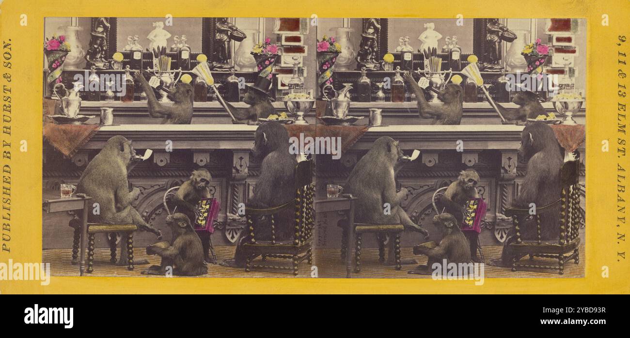 1870's bar interior hi-res stock photography and images - Alamy