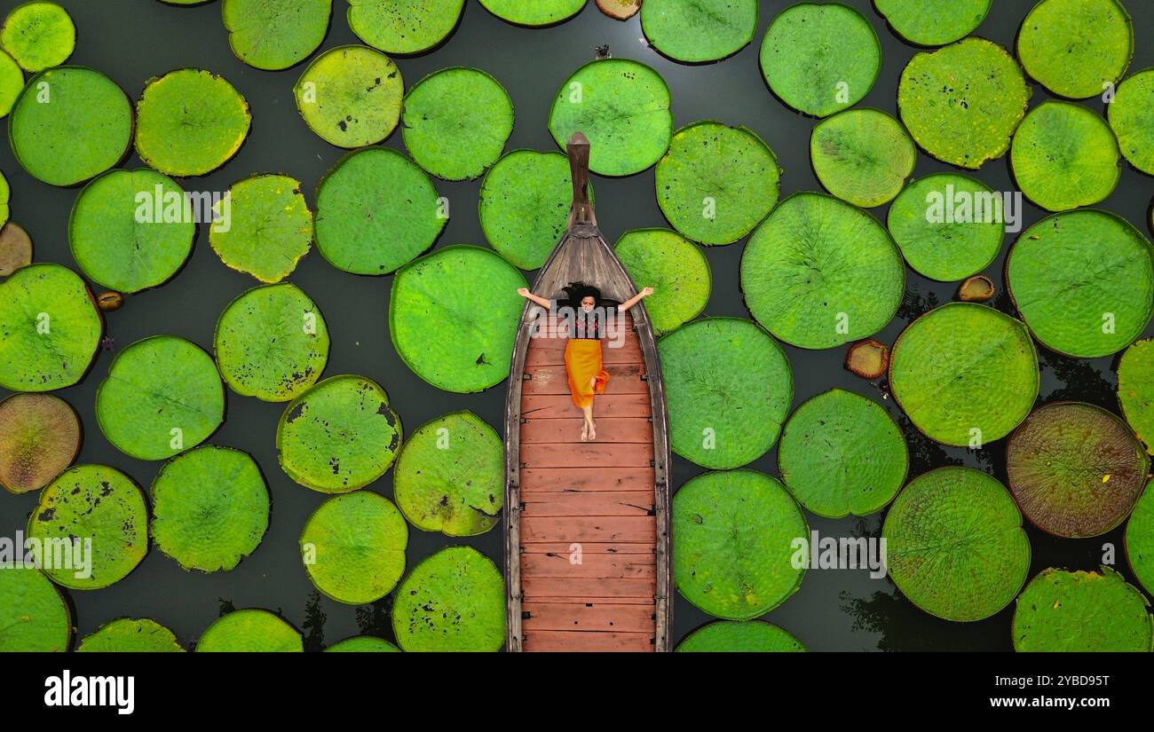 Aerial Landscape of Victoria Waterlily Giant lily pad lake at Phuket Thailand Stock Photo - Alamy