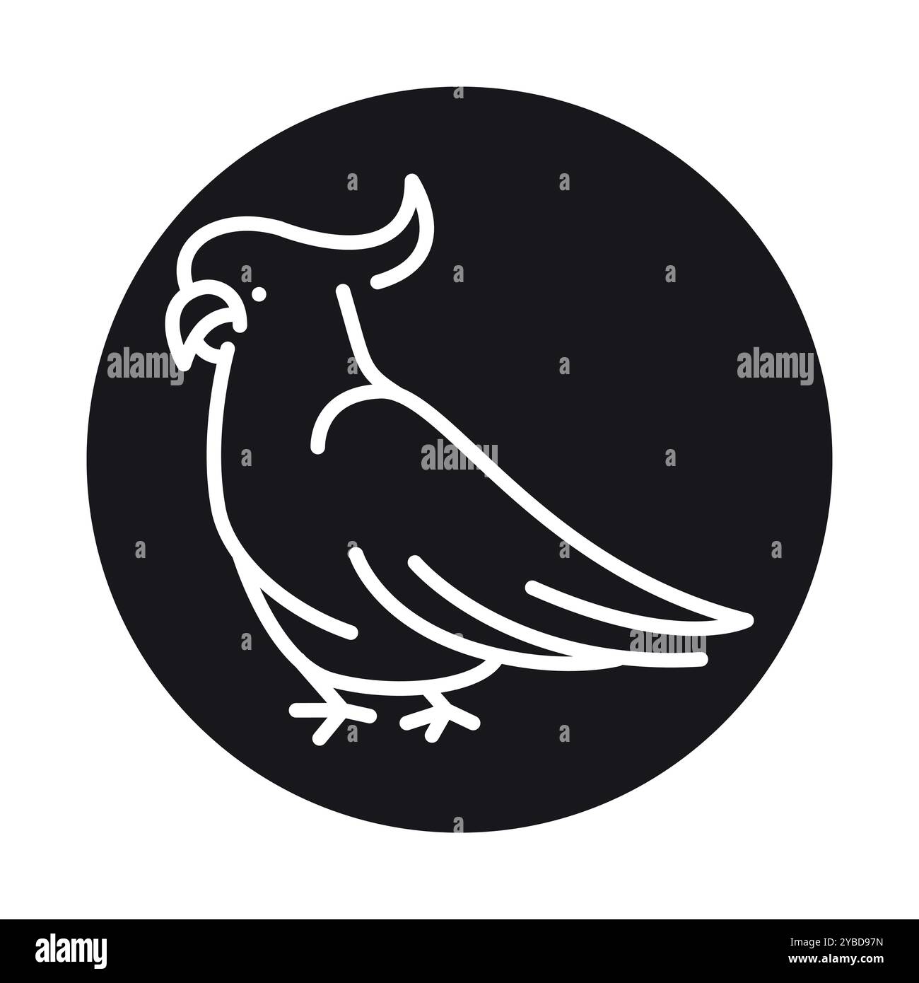 Night parrot australia Stock Vector Images - Alamy