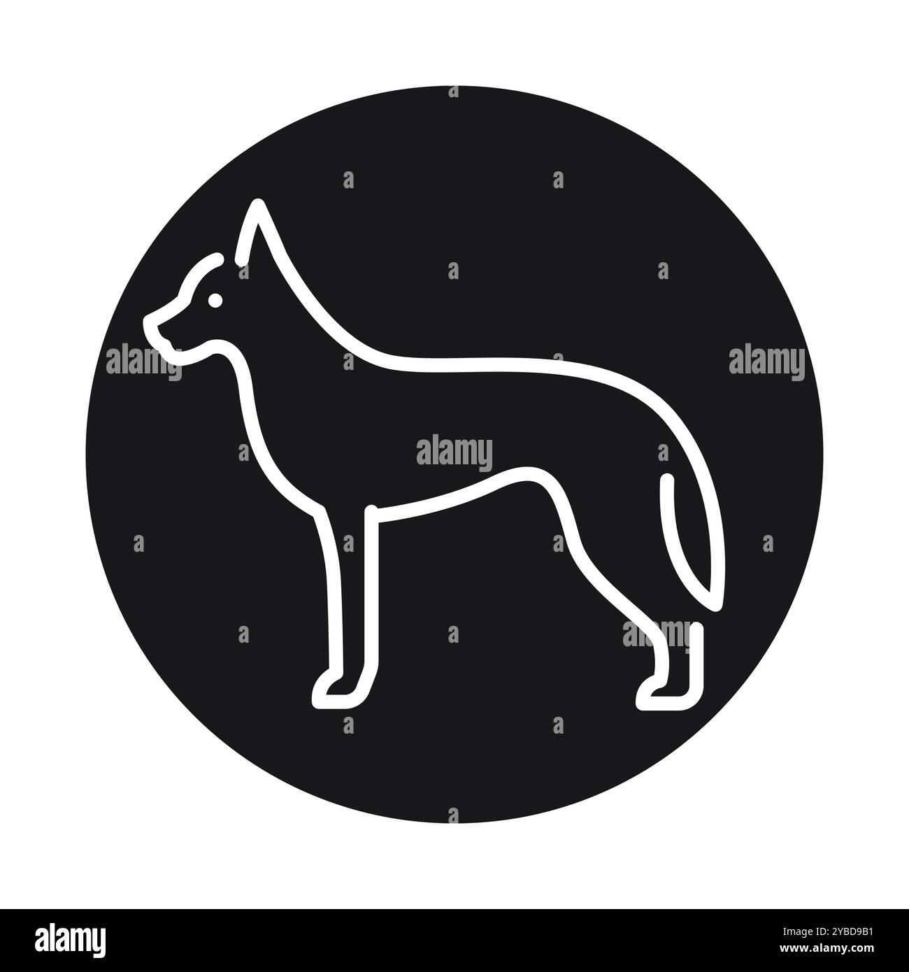 Dingo dog black line illustration. Animals of Australia. Editable ...
