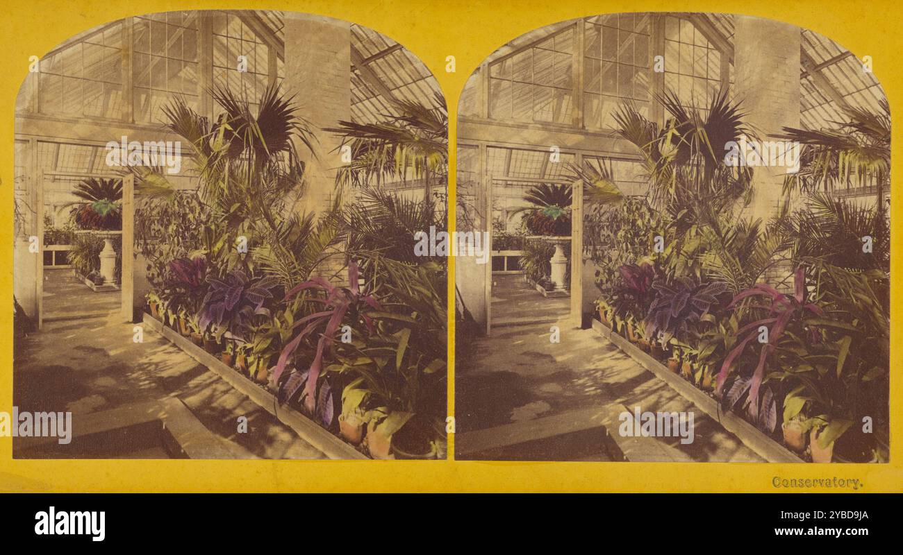 Conservatory. The President's House, Washington, D.C., 1873 Stock Photo ...