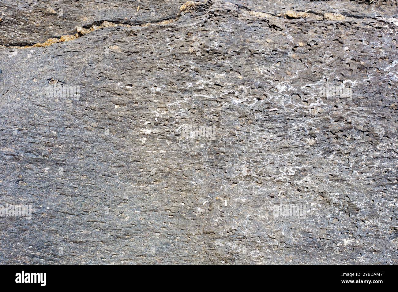 Stone texture. Gray natural rough stone Stock Photo - Alamy