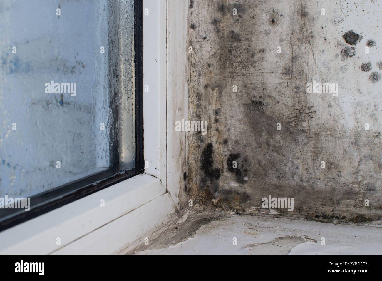 Mold on plastic windows. due to the high humidity of the window sill ...