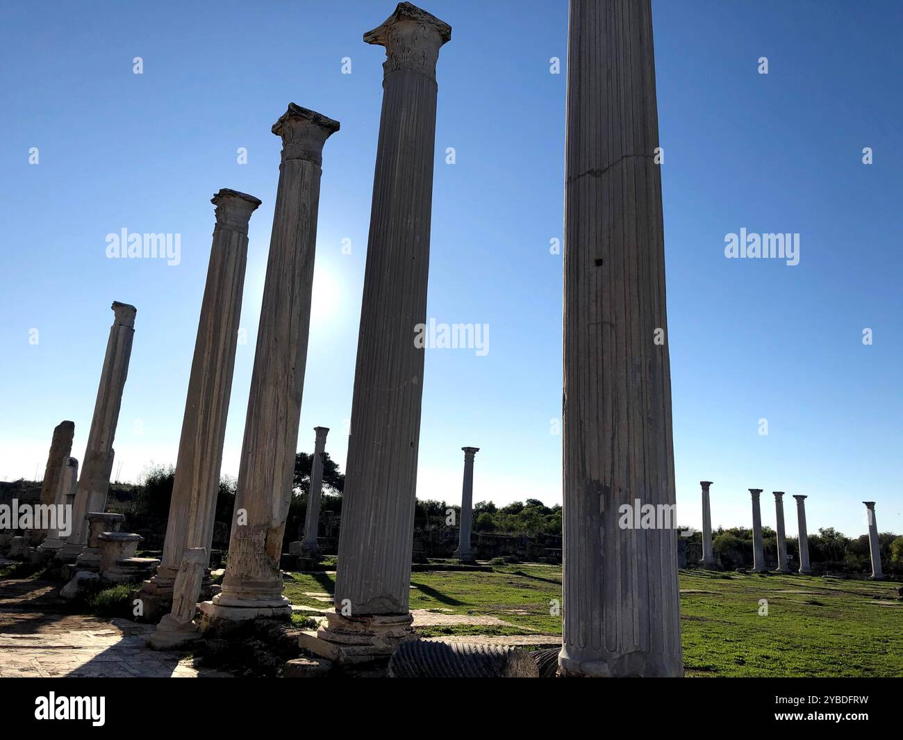 Rows of columns in Cyprus. Remains of colonnaded street ancient city ...